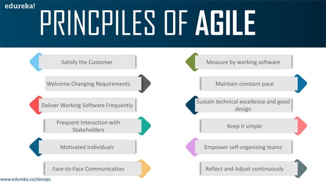 What is Agile Methodology | Edureka | PDF