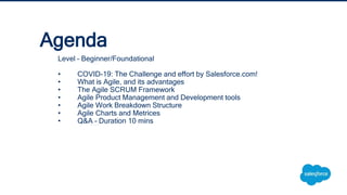 Salesforce Agile Methodology and Tools | PPT