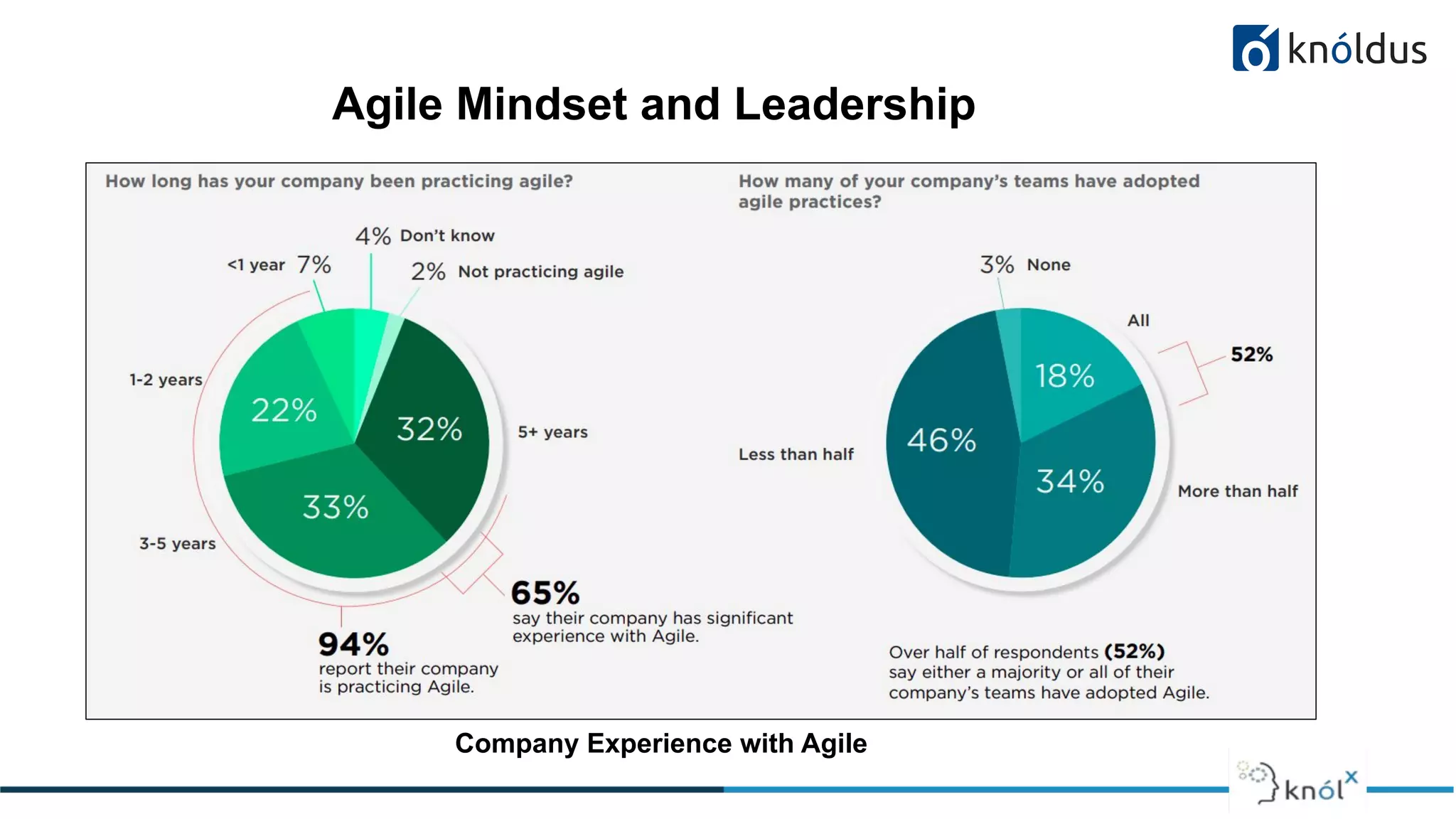 Agile Mindset.pptx.pdf