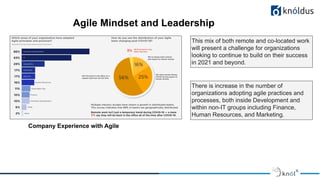 Agile Mindset.pptx.pdf