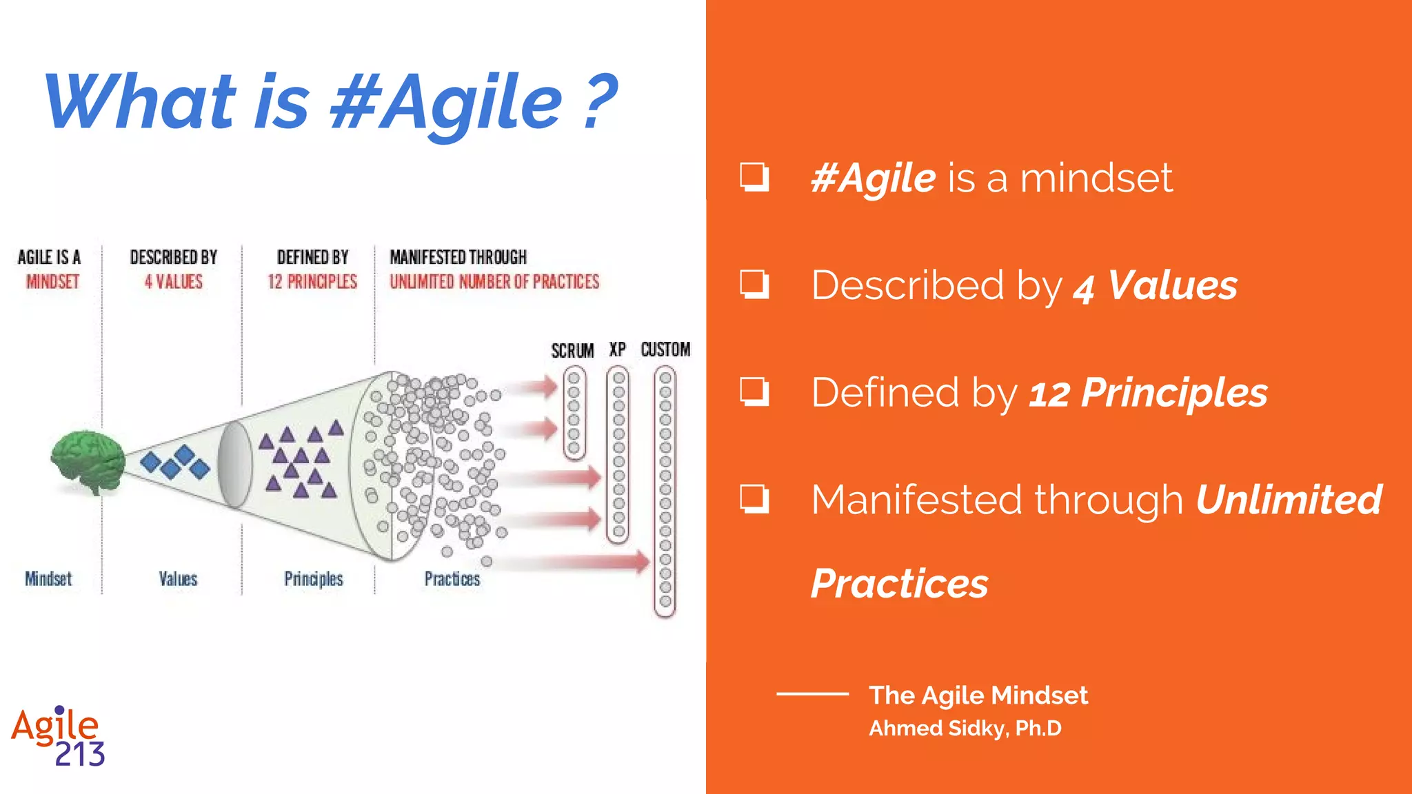 Agile Mindset, Ahmed Sidky PhD.pdf