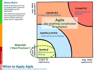 Agile Mindset For Executives | PPTX
