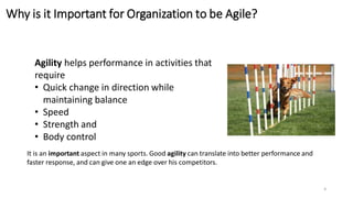 Agility - The Key to Every Successful Business | PPT