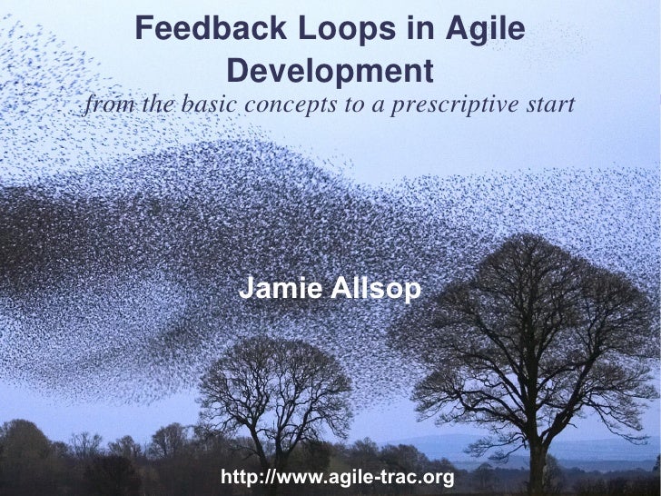 Feedback Loops in Agile Development