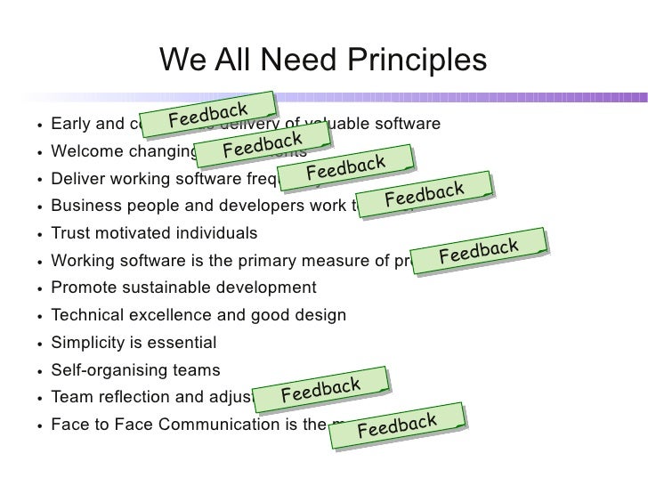 Feedback Loops in Agile Development
