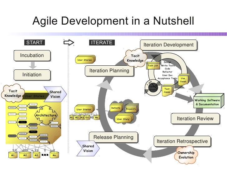 Feedback Loops in Agile Development Feedback Loops in Agile Development