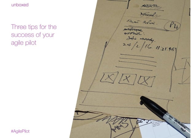 Agile Pilot - Martyn Evans | PDF