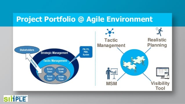 Four Steps for Project Portfolio Management @ Agile Environment