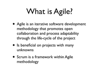 Agile Implementation | ZIP