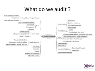 Agile Process Audit | PDF