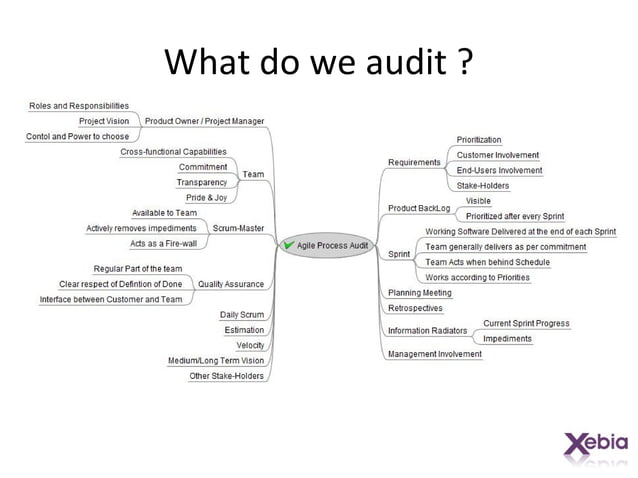 Agile Process Audit | PDF
