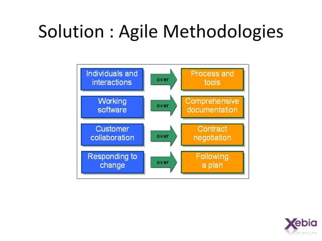 Agile Process Audit | PDF
