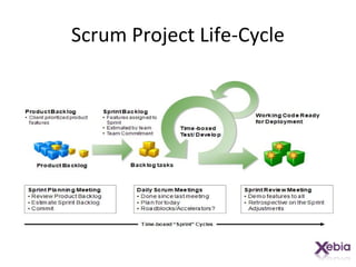 Agile Process Audit | PDF