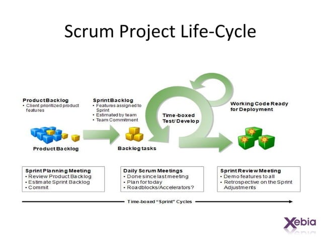 Agile Process Audit | PDF