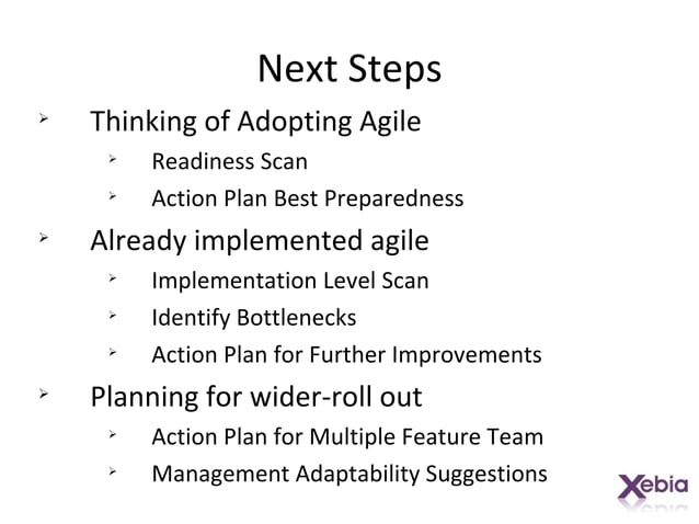 Agile Process Audit | PDF