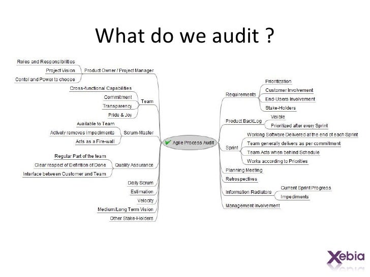 Agile Process Audit
