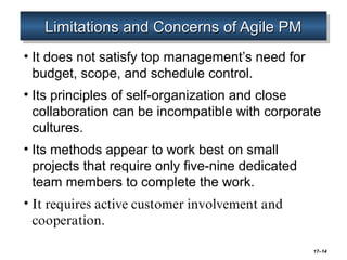 Agile Project Management | PDF