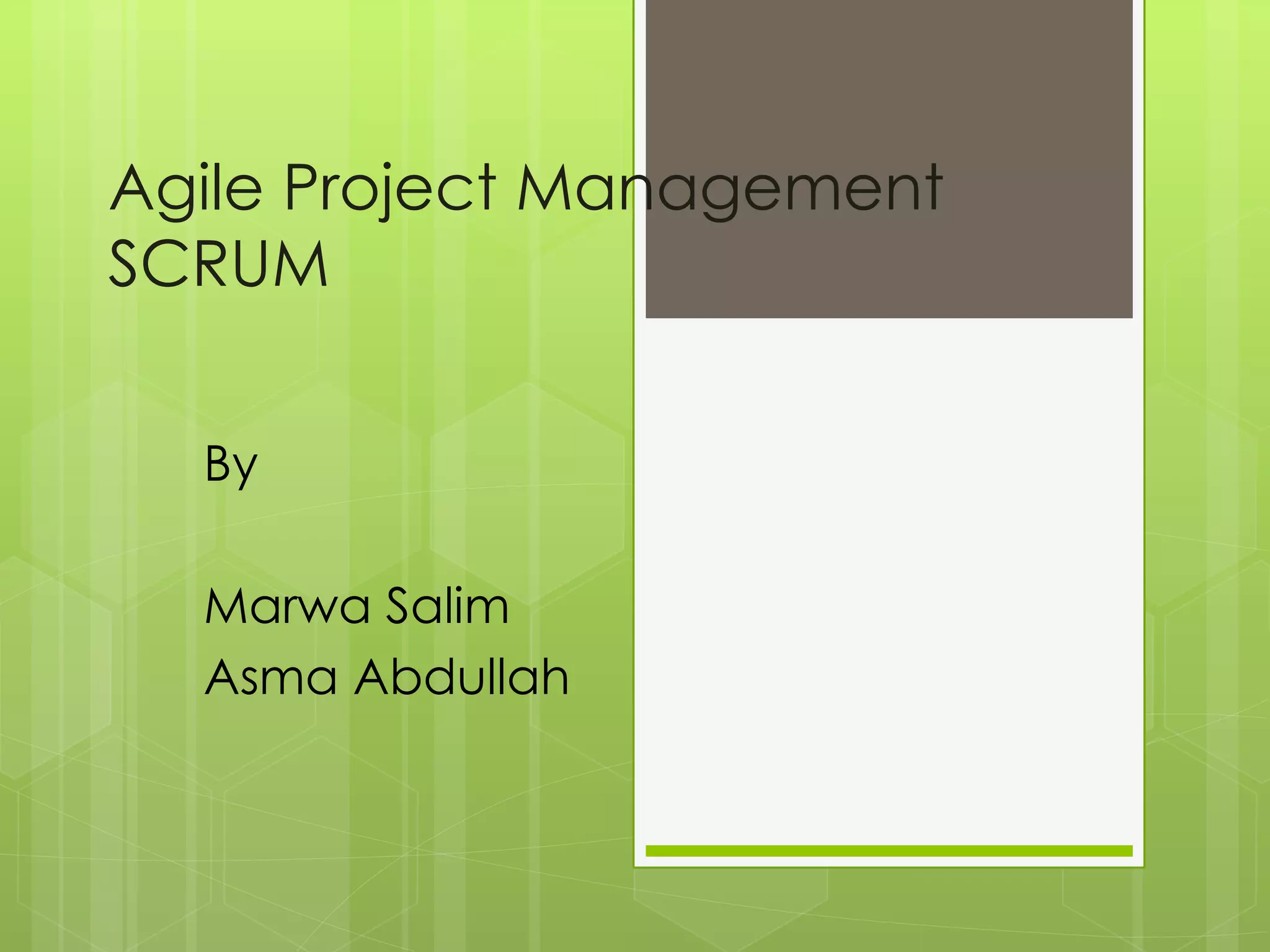 Agile Project Management Scrum Ppt