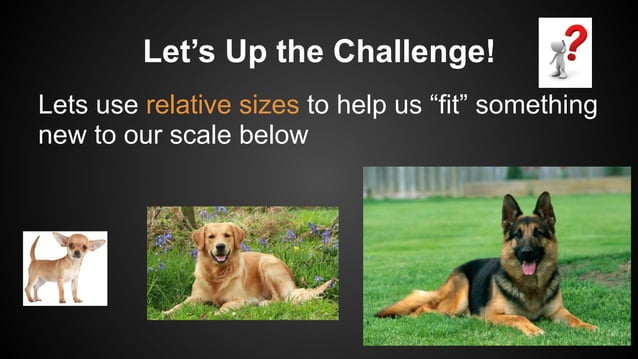 User Story Sizing using Agile Relative Estimation | PDF | Dogs | Pets