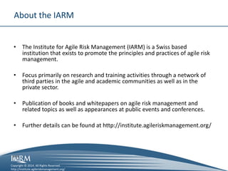 Agile risk management | PDF
