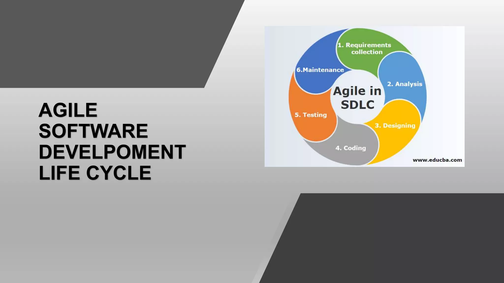 Agile Software Development Life Cycle | PPTX