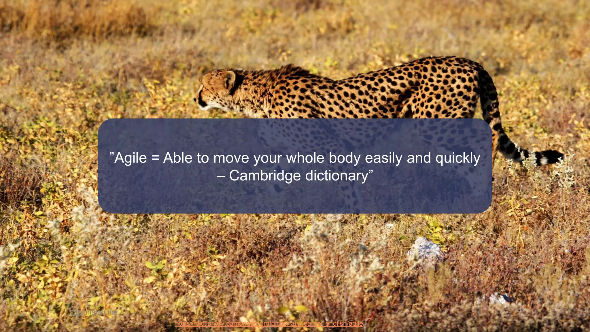 (Agile) software development in a nutshell | PPTX