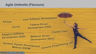 Agile Software Development and Continuous Delivery at UPT DEGI | 25th ...