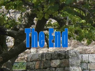 Agile Software Process Improvement | PPT