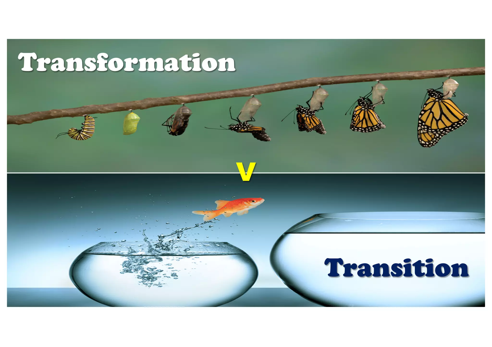 Do’s & Don’ts of Agile Transformations by Ade Shokoya | PDF