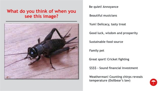 Agile Value: Systems Thinking and Balancing Autonomy at Scale | PPT