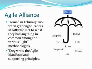 Agile Values, Principles and Practices | PPT