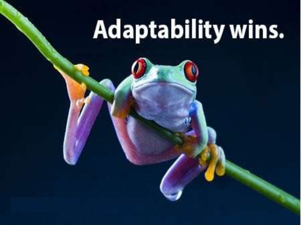 Agility and adaptability