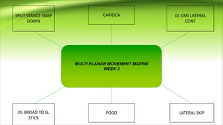 Agility team field sport | PPT | Free download