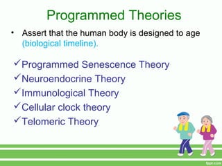 Aging- the biology of senescence | PPT
