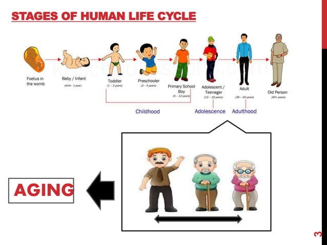Aging | PPT