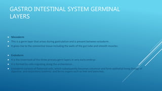 AGING AND DIGESTIVE SYSTEM-1.pptx