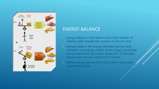 AGING AND DIGESTIVE SYSTEM-1.pptx