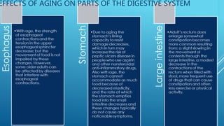 AGING AND DIGESTIVE SYSTEM-1.pptx | Endocrine and Metabolic Diseases ...