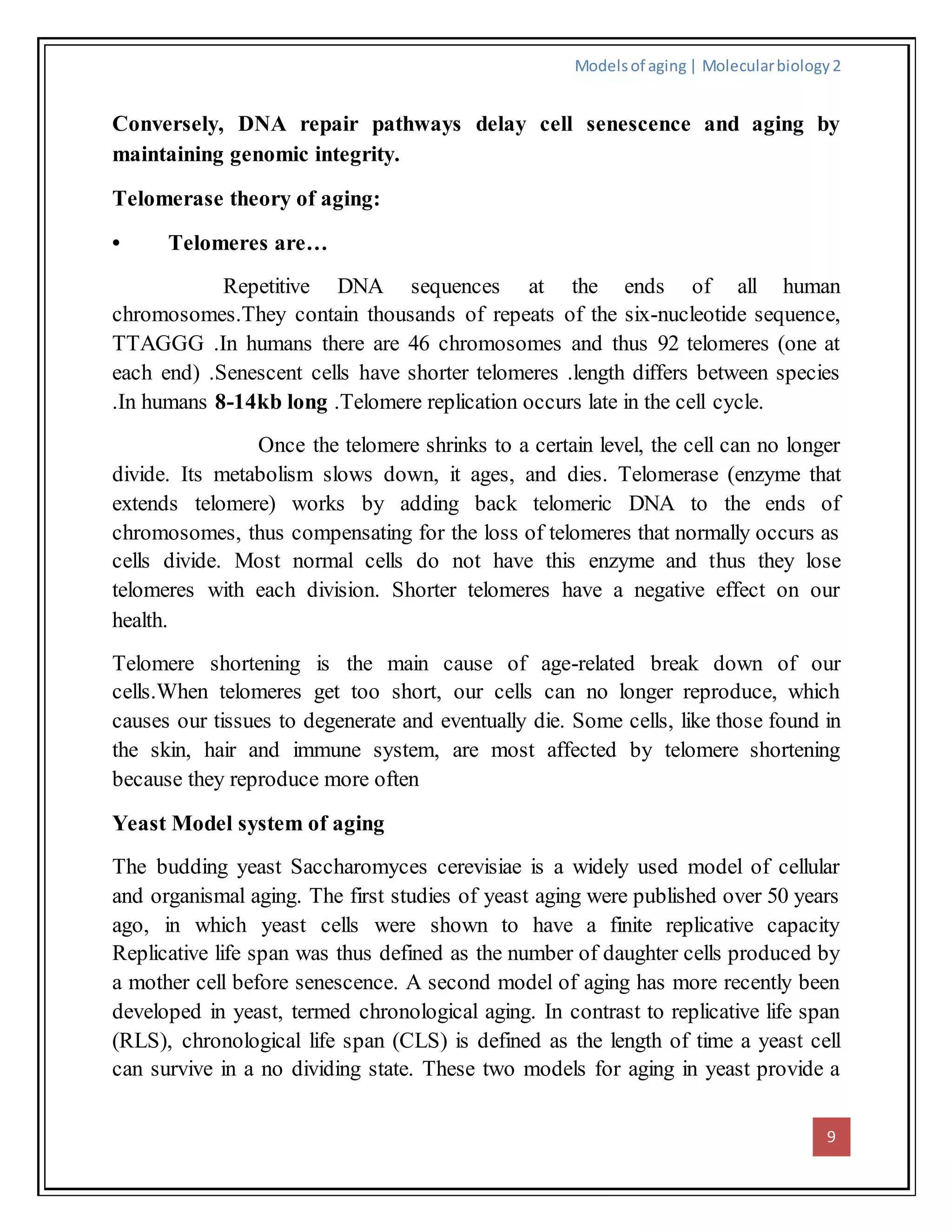 Aging and model of aging | DOCX