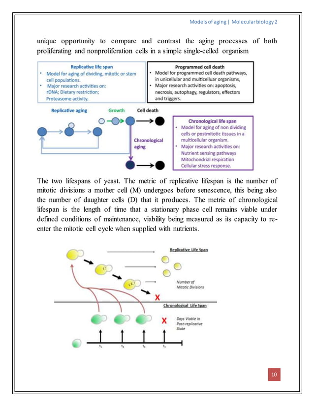 Aging and model of aging | PDF