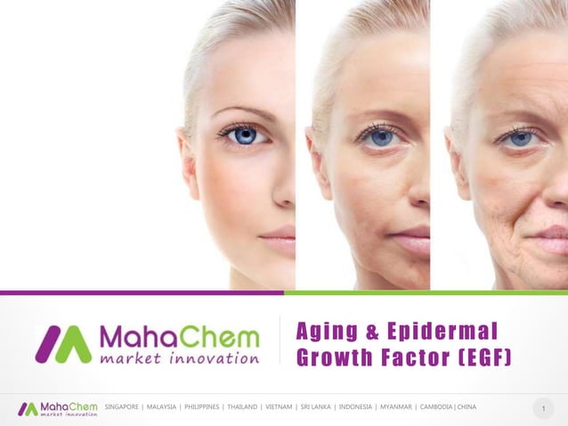 Aging and Epidermal Growth Factor (EGF) | PPT