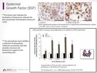 Aging and Epidermal Growth Factor (EGF) | PPT