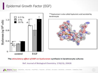 Aging and Epidermal Growth Factor (EGF) | PPT