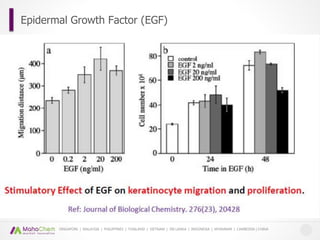 Aging and Epidermal Growth Factor (EGF) | PPT