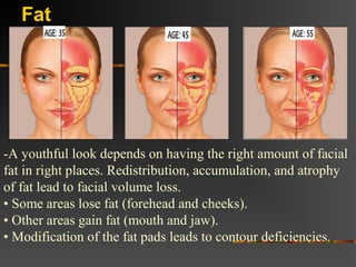 Aging face ppt | PPT