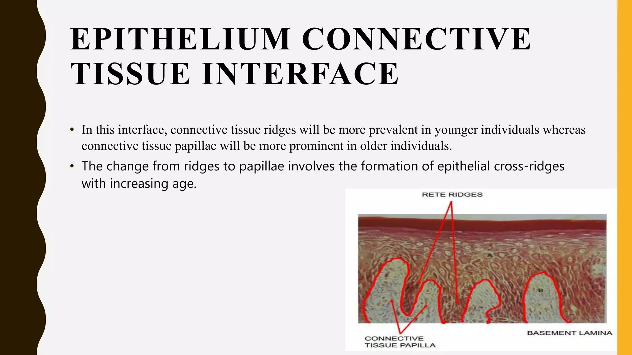 Aging in periodontium | PPTX