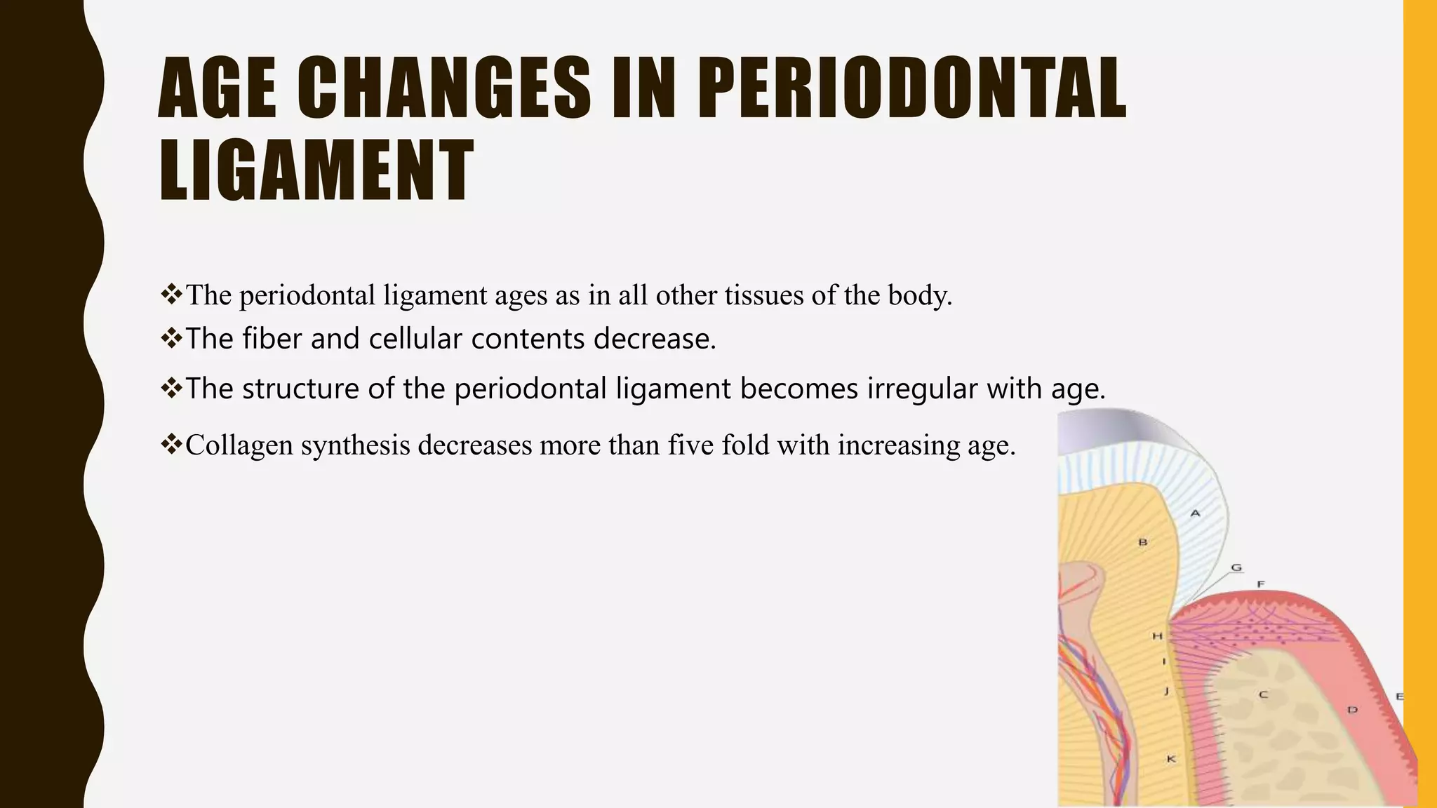 Aging in periodontium | PPTX