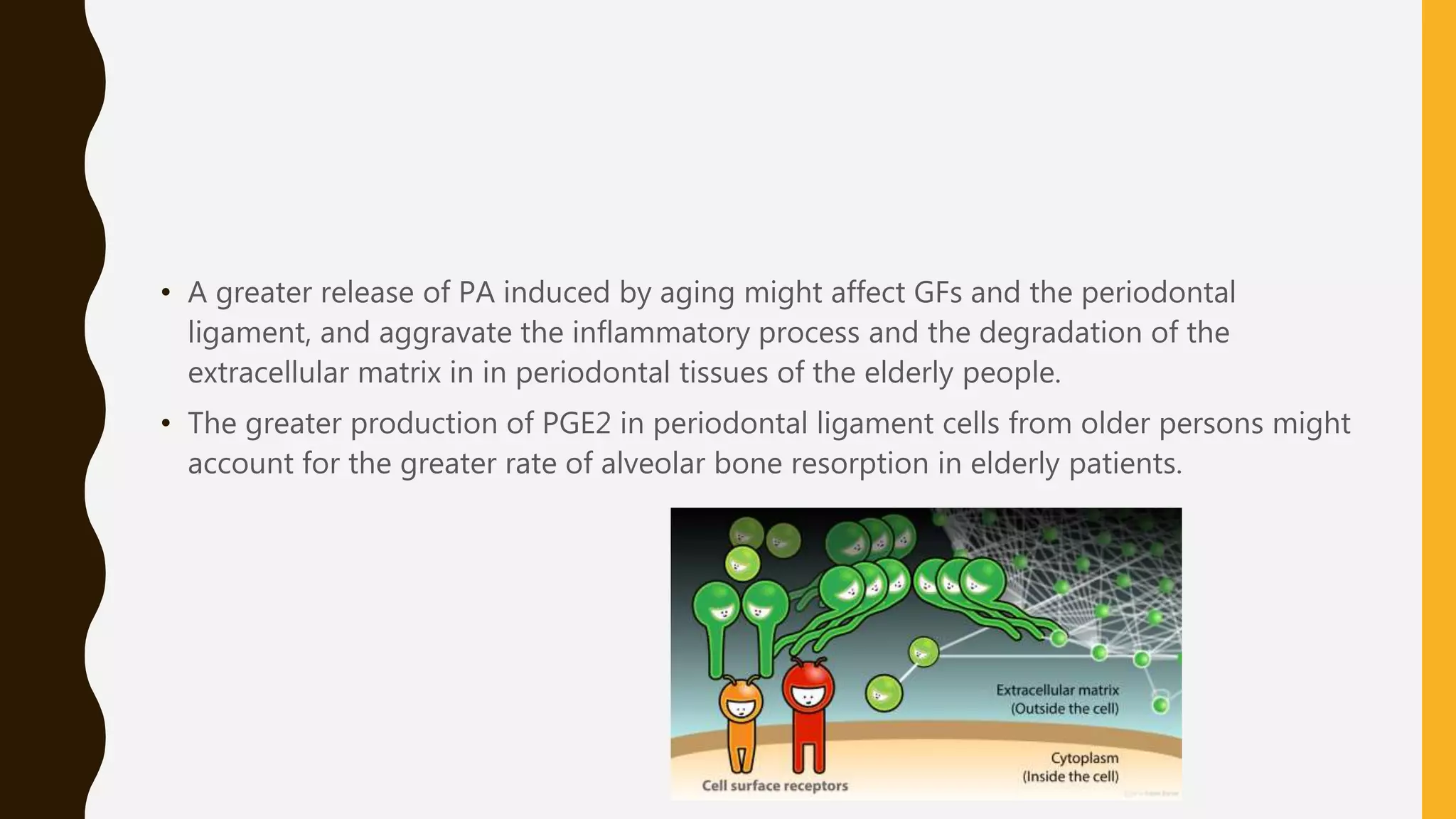 Aging in periodontium | PPTX