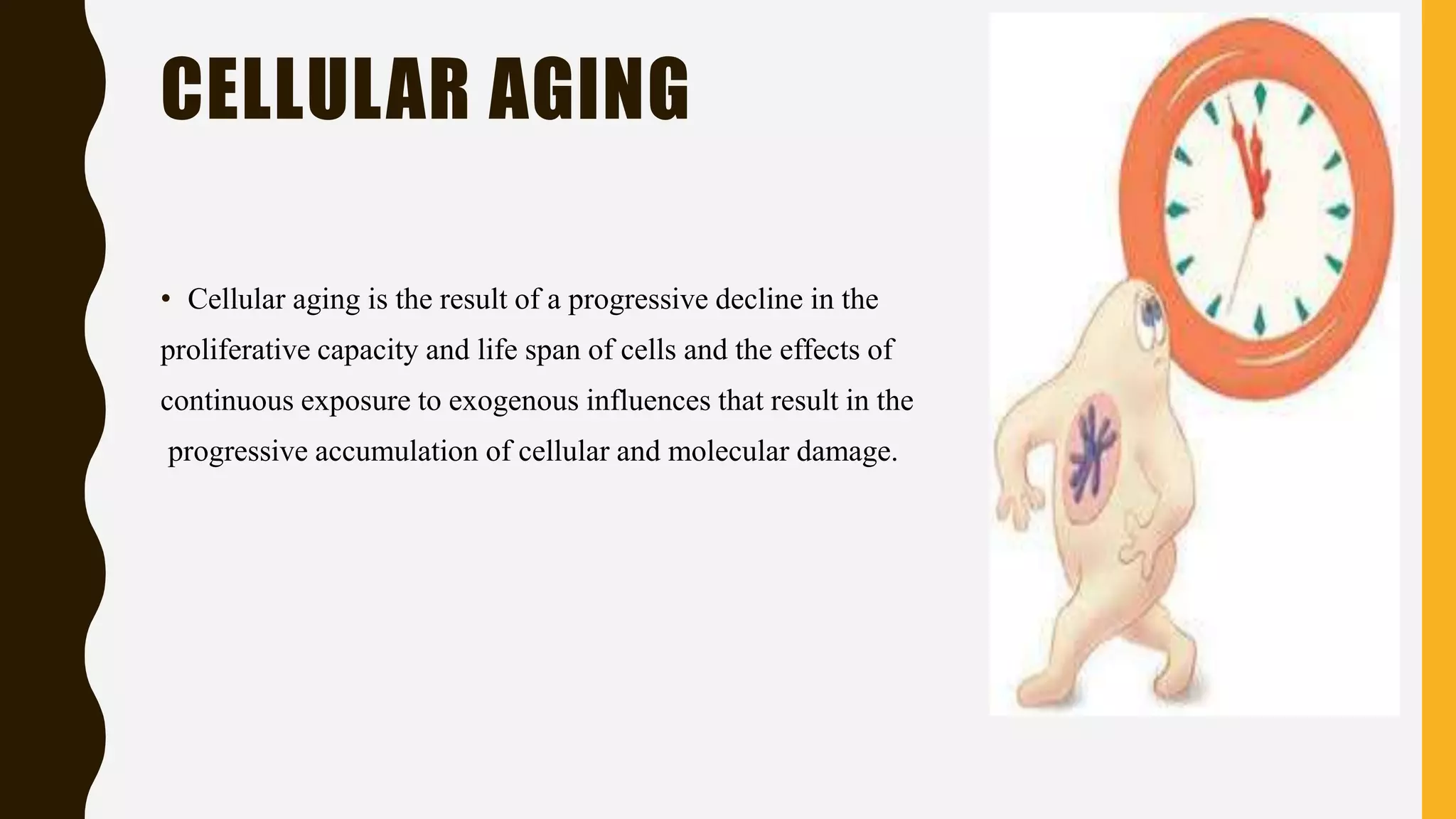 Aging in periodontium | PPTX