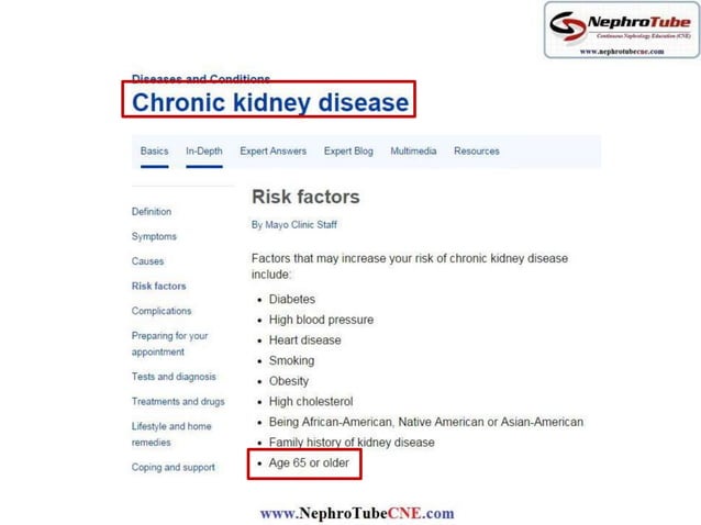 The Aging Kidney - Why it is more vulnerable for injury? - Applied ...